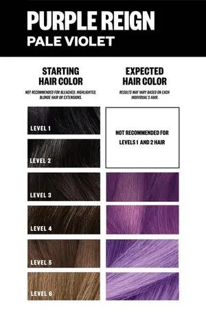 IGK Color Bright One Step Bleach & Color Kitpurple Reign: