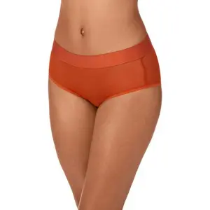 Dkny Sheer Mesh Briefs Copper