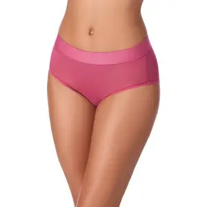 Dkny Sheer Mesh Briefs - Darkrose