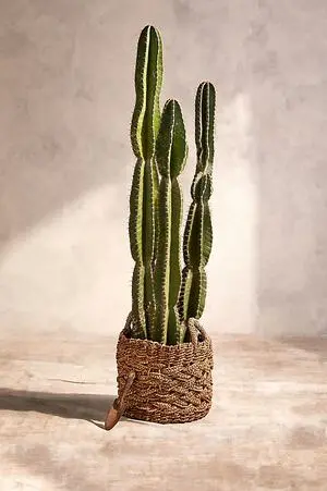 TERRAIN Woven Braided Handled Planter - Natural
