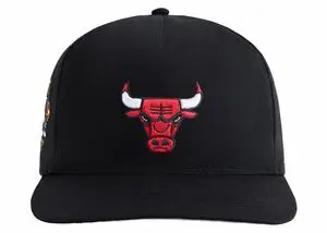 Chicago Bulls Snapbacks