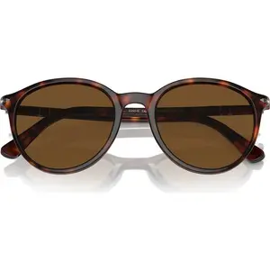 Persol 56mm Phantos Round Sunglasses - Havana