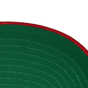 Mitchell & Ness Detroit Wings Team Ground Pro Adjustable Hat