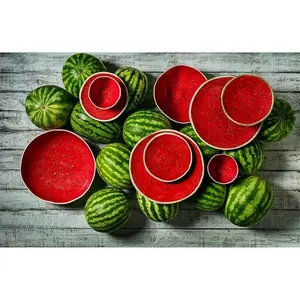 BORDALLO PINHEIRO Watermelon Charger Plate