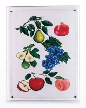PORT 68 Fruit I" Giclee Print Wall Art - Multi