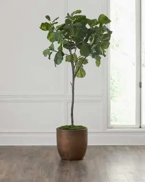 JOHN-RICHARD COLLECTION Fiddle Leaf Fig - Green