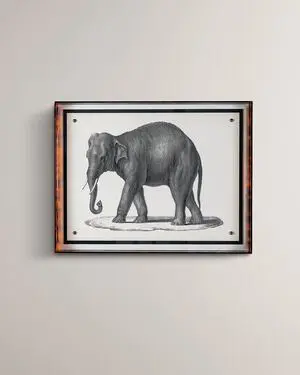 PORT 68 Elephant" Giclee - Black/white