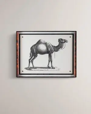 PORT 68 Camel" Giclee - Black/white