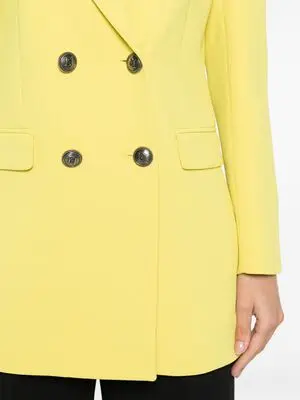 Elisabetta Franchi Double-breasted Blazer - Yellow