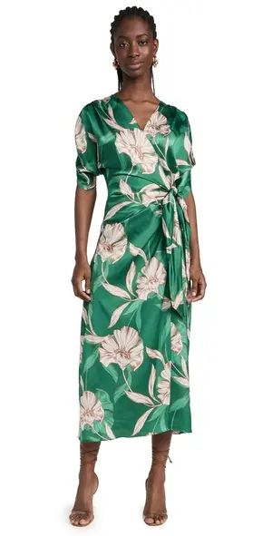 francescas green floral dress Francesca Floral Black Gold Maxi Dress – Lucy Rose main image 0