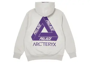 PALACE Arc'teryx Hood - Grey