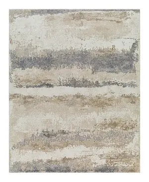 Livabliss Tuscany Tus-2344 Area Rug, 2' X 3 - Beige