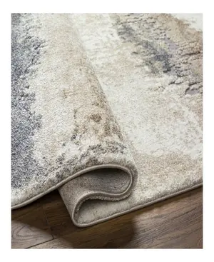Livabliss Tuscany Tus-2344 Area Rug, 2' X 3