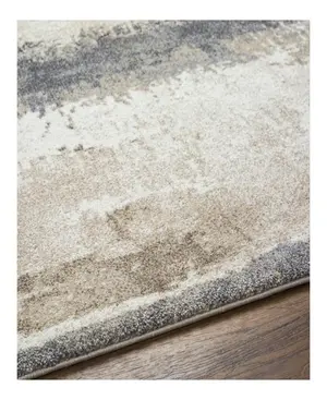 Livabliss Tuscany Tus-2344 Area Rug, 2' X 3