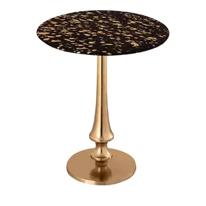 TOV FURNITURE Goathide Side Table - Black And Gold