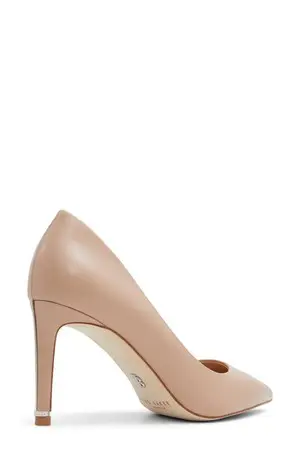 Ted Baker London Pointed Toe Pump