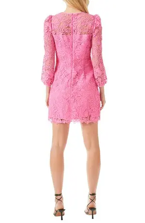 Endless Rose Lace Mini Dress