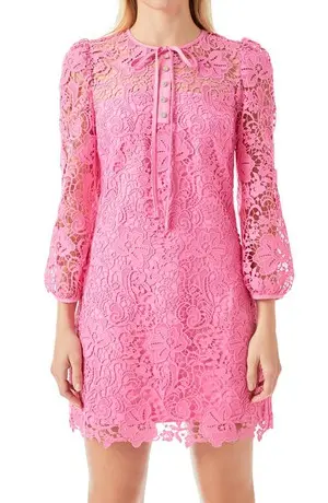 Endless Rose Lace Mini Dress