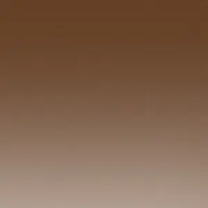 Tiffany & Co. Havana Pillow Sunglasses - Brown