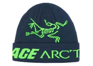 PALACE Arc'teryx Beanie - Teal