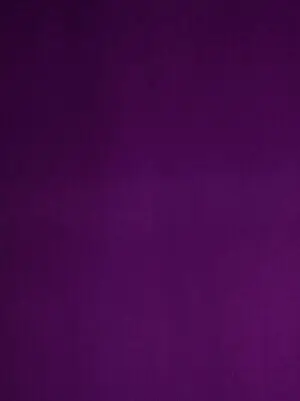 Max Mara Finished Edge Silk Scarf - Purple