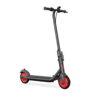 SEGWAY Ninebot Zing C20 Electric Scooter