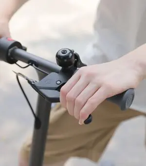 SEGWAY Ninebot Zing C20 Electric Scooter