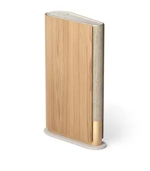 BANG & OLUFSEN Beosound Emerge Al2 Speaker - Gold