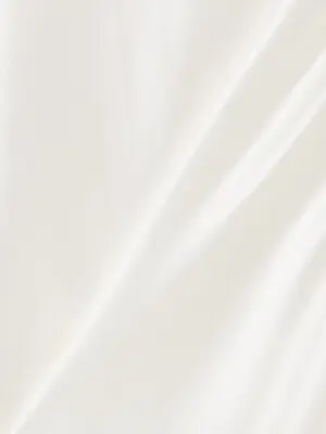 SALON 1884 Net Sustain Linea Silk Gown