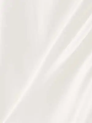 SALON 1884 Net Sustain Linea Silk Gown