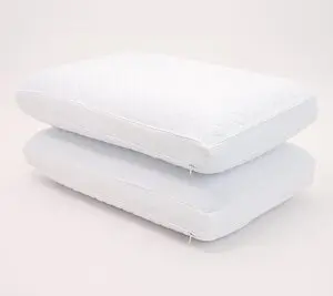 NORTHERN NIGHTS As Is Set/2 Ventilated Foam Pillows- Std/qn - One-color