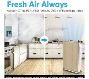 ASPEN Smart Air Purifier