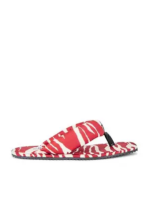 Attico Zebra Printed Indie Flat Thong Sandal - Red & Milk