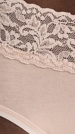 Hanky Panky French Briefs - Chai