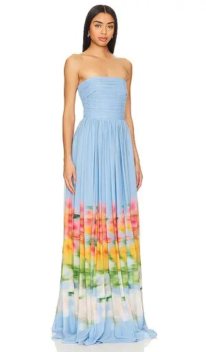SAU LEE Camille Strapless Chiffon Gown