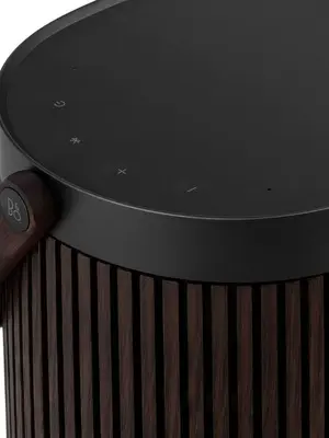 BANG & OLUFSEN Beosound A5 Speaker - Brown