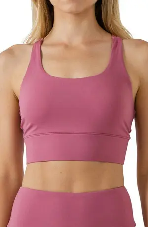 Grey Lab Sports Bras