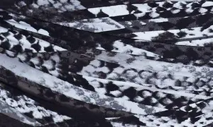 MAGICSUIT® Zaatar Charlize One-piece Swimsuit