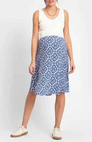 Seraphine Sleeveless Maternity Nursing Dress - Blue/white