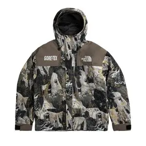 The North Face Gtx Mountain Jacket