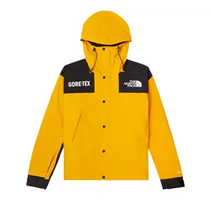 The North Face Gtx Mountain Jacket