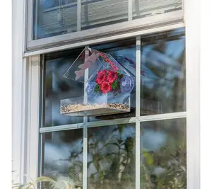 PLOW & HEARTH As Is Clear Window Bird Feeder W/floral Design