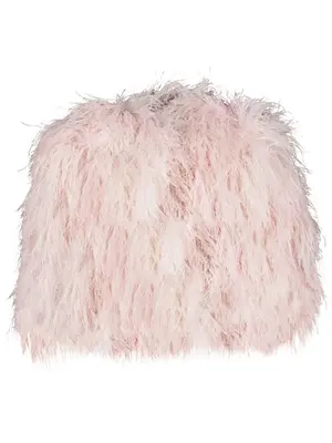 Dolce & Gabbana Feather-detail Cropped Jacket