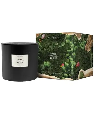 ENVIRONMENT Los Angeles Environment 55Oz Candle Inspired By Diptyque Baies® Baies, Currants & Quince - Nocolor