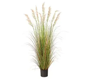 NEARLY NATURAL 5.5' Plum Grass Plant - One-color