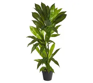 NEARLY NATURAL 3' Dracaena Artificial Plant - One-color