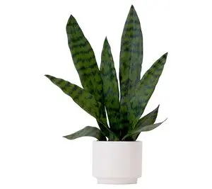 NEARLY NATURAL 16'artificial Sansevieria Snakep Lant W Planter - One-color