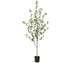 NEARLY NATURAL 6.5' Minimalist Citrus Artificia L Tree - One-color