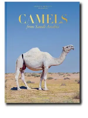 Assouline Camels From Saudi Arabia - Blue