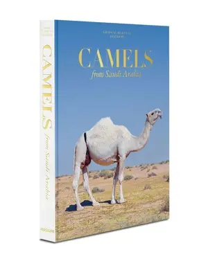 Assouline Camels From Saudi Arabia